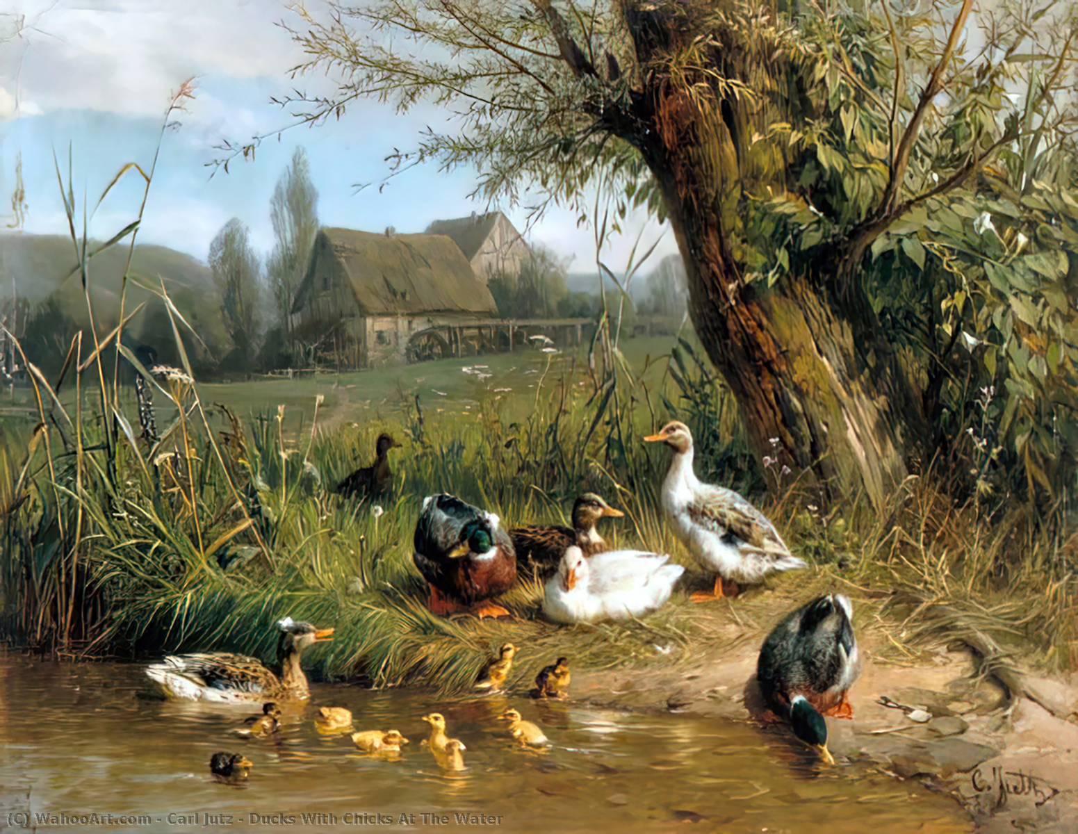 Paintings Reproductions Ducks With Chicks At The Water by Carl Jutz ...