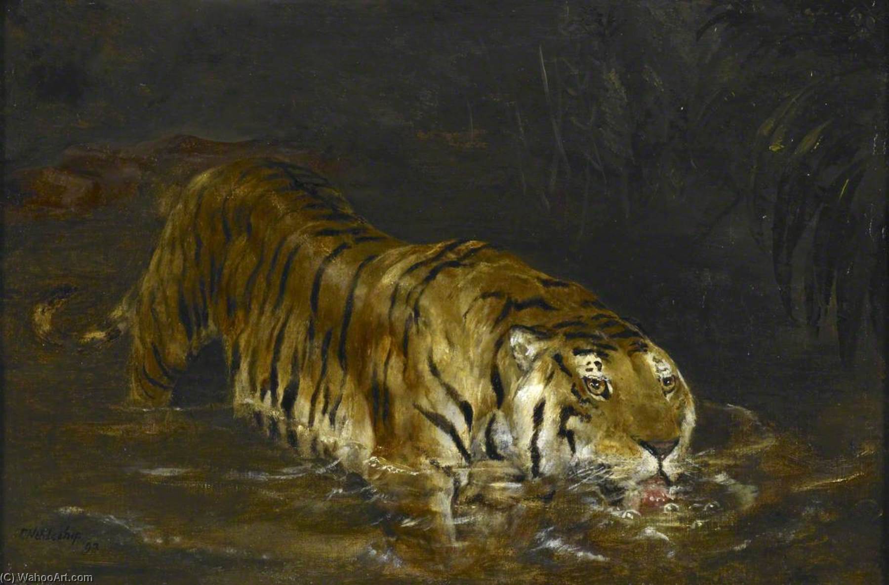 Museum Art Reproductions Tiger Drinking at a Jungle Pool, 1880 by John ...