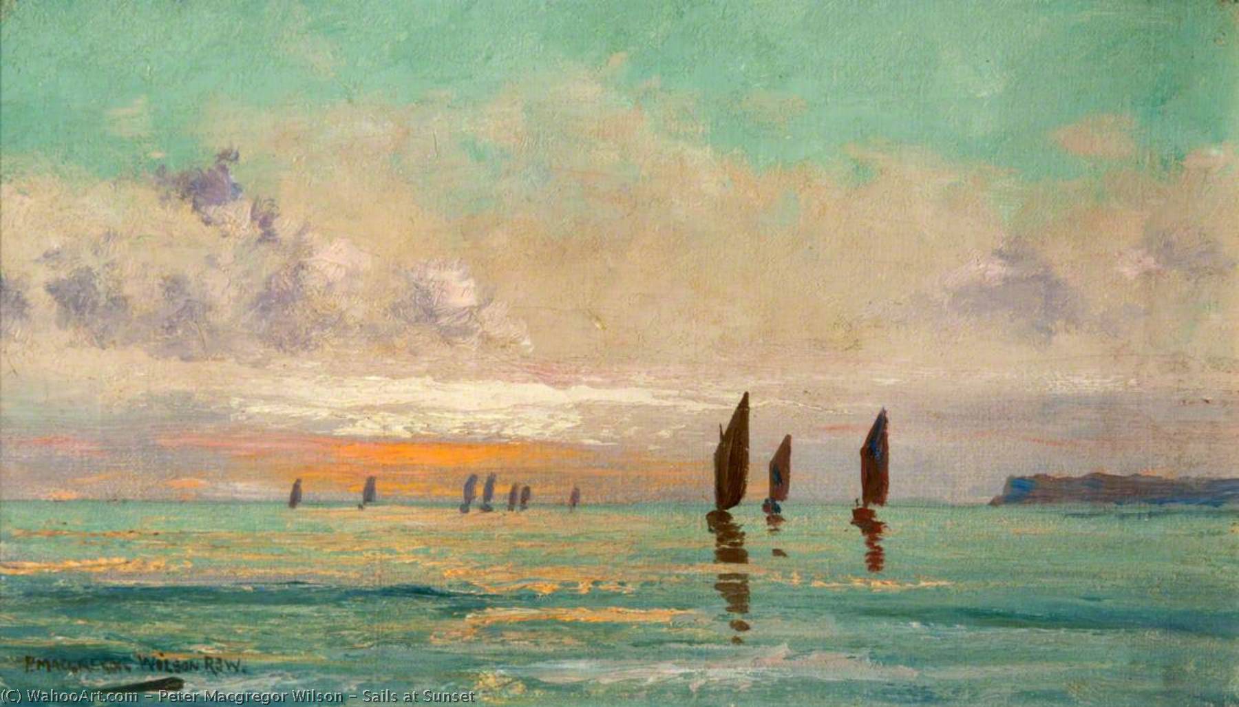 Sails at Sunset by Peter Macgregor Wilson Peter Macgregor Wilson ...