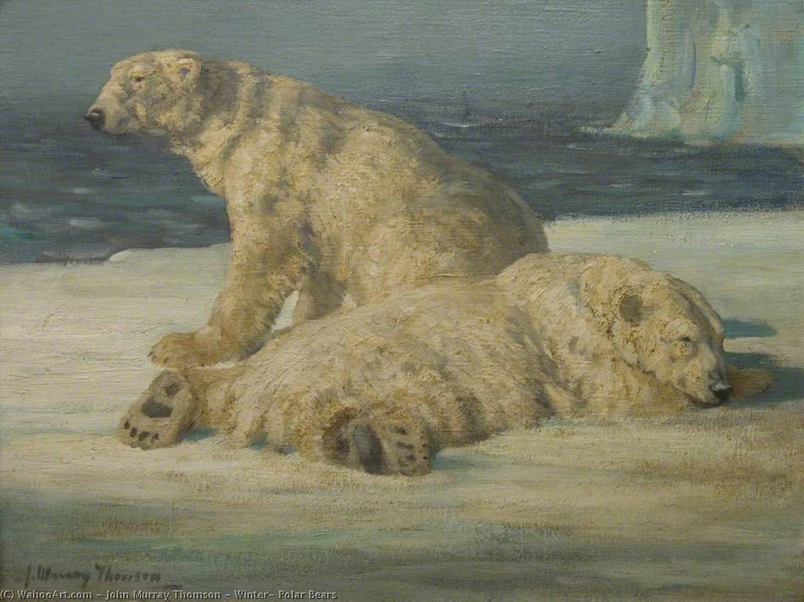 Winter, Polar Bears by John Murray Thomson John Murray Thomson ...