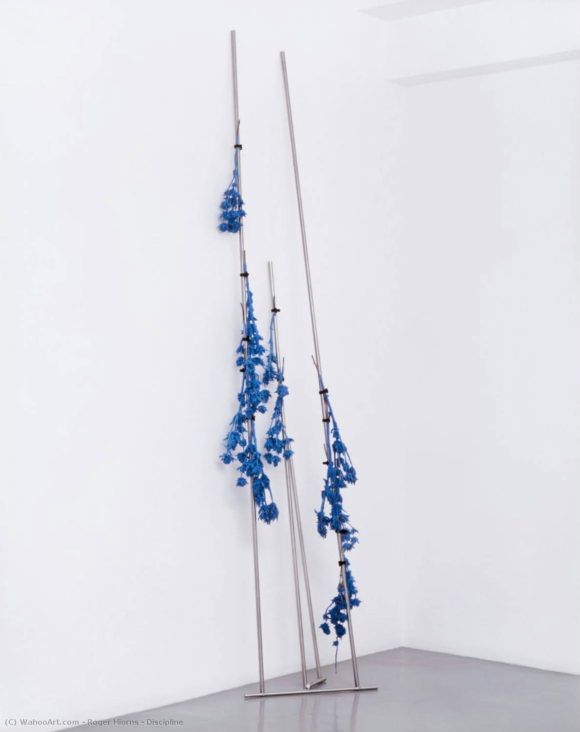 Discipline, 2002 by Roger Hiorns Roger Hiorns | WahooArt.com